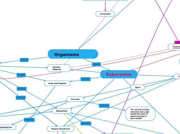Organisms - Mind Map